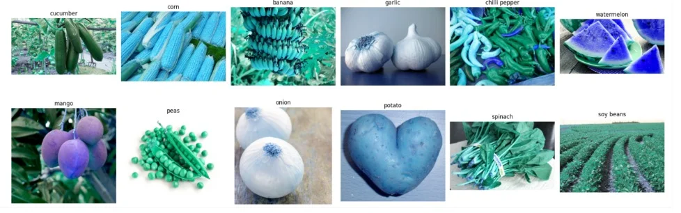 Automated Fruit & Vegetable Identification Model: Tutorial